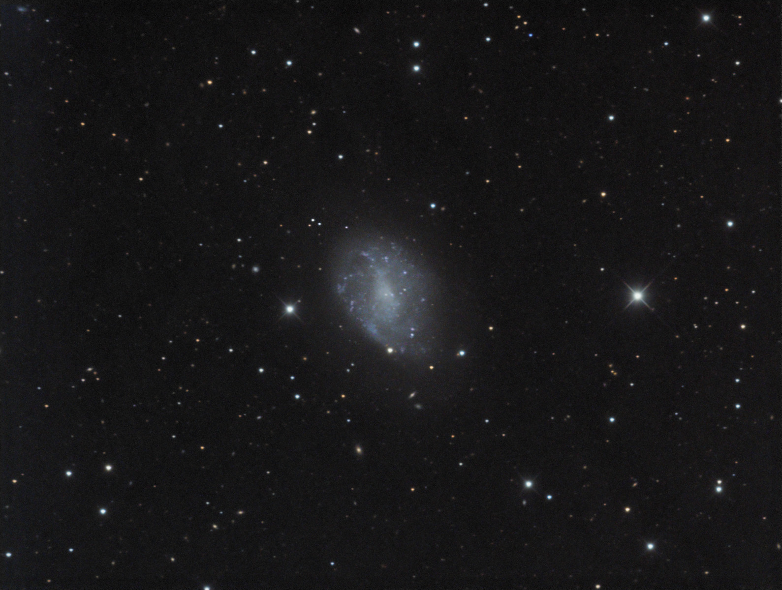 NGC 4242 - Experienced Deep Sky Imaging - Cloudy Nights